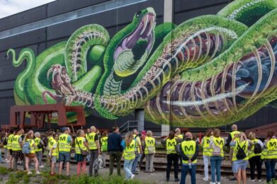 Mural Harbor Linz – Alles, was du für deinen Besuch wissen musst